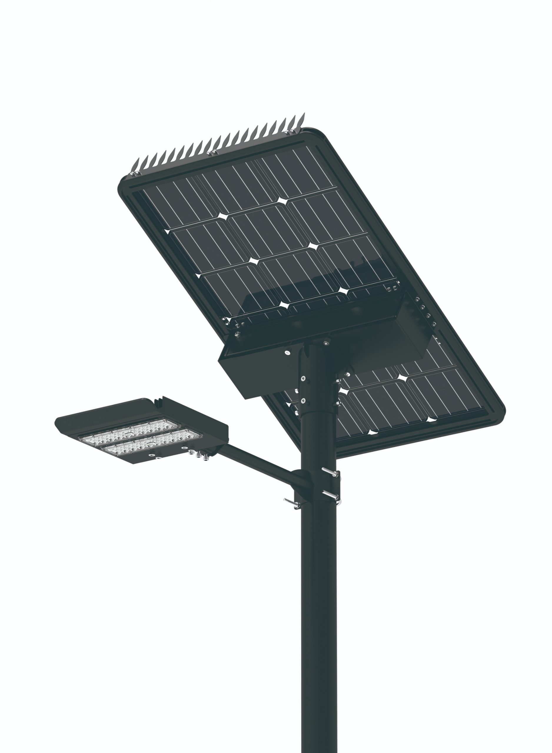 Astrid Olympic Combi - Morgan Hope